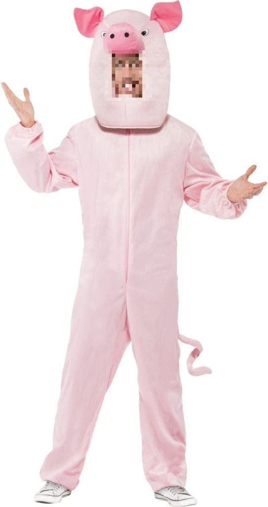 🥇Disfraz de cerdo - El rincón de los disfraces🥇