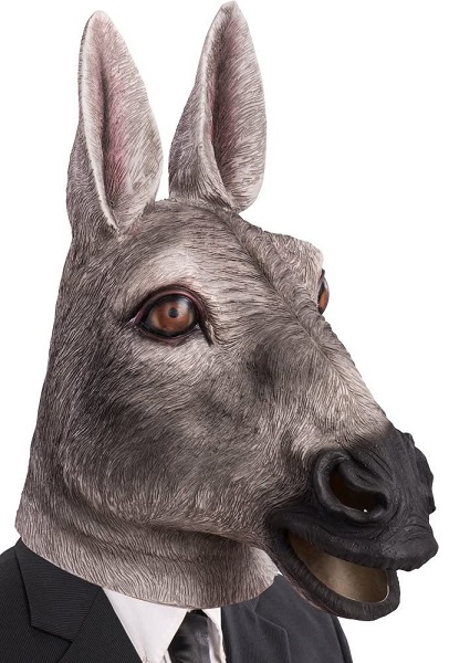 🥇Disfraz de burro - El rincón de los disfraces🥇