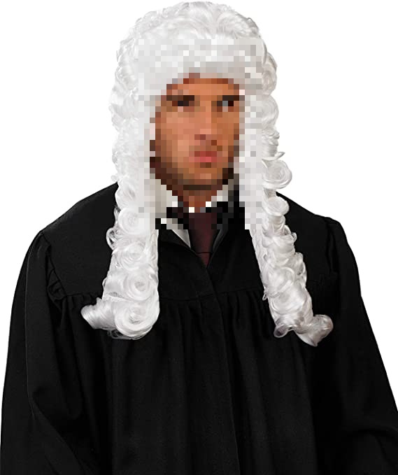 🥇Disfraz de juez - El rincón de los disfraces🥇